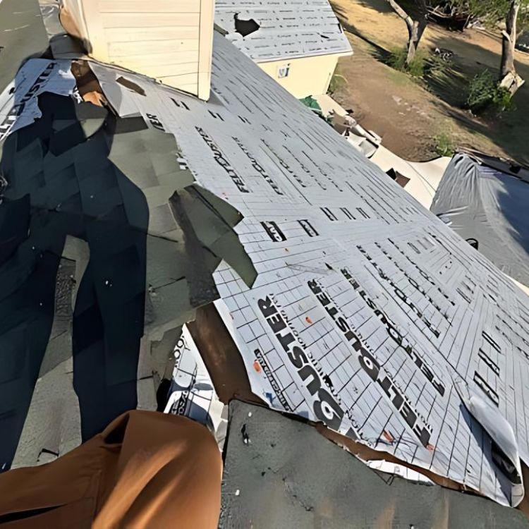 How to Spot Signs of Roof Damage Before It’s Too Late - Pristine ...